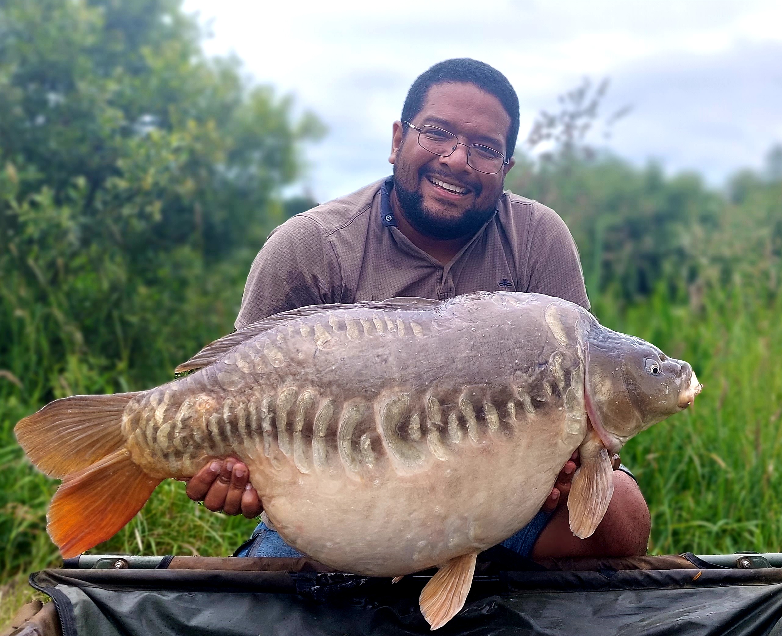 The Linear | Total Carp